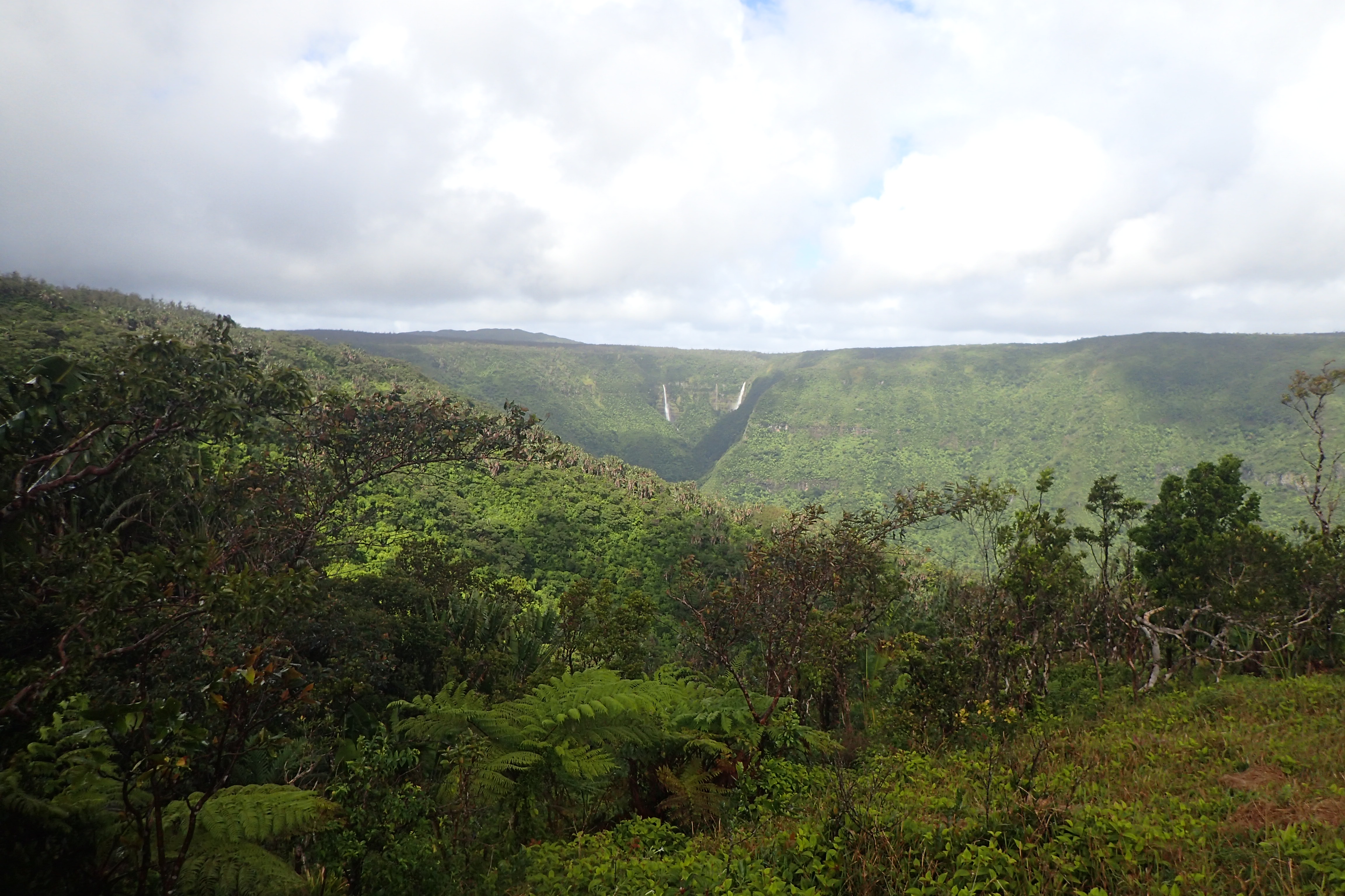 Mauritian Wildlife Foundation