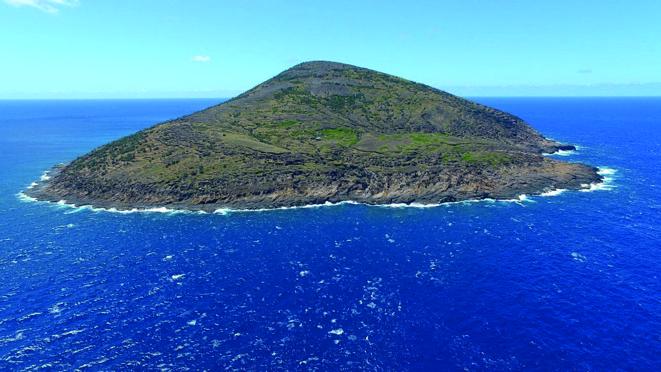 Mauritian Wildlife Foundation