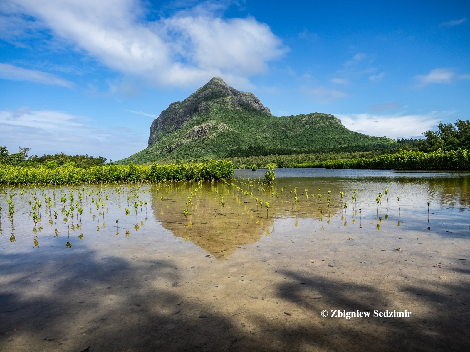 Mauritian Wildlife Foundation